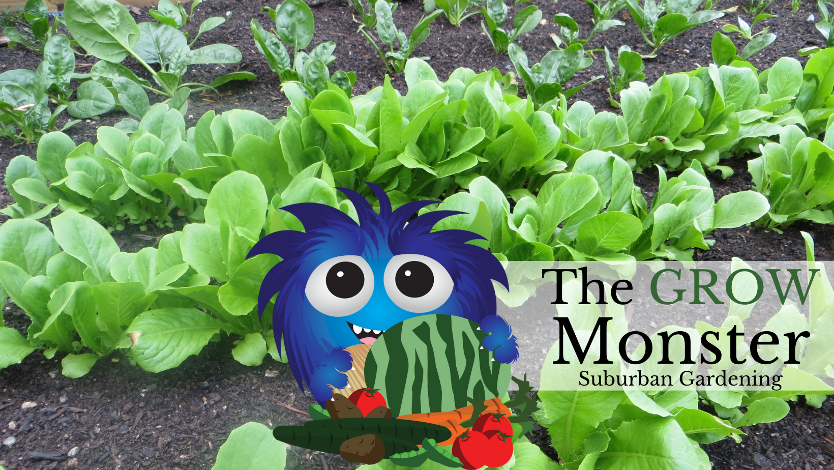 Home - The Grow Monster