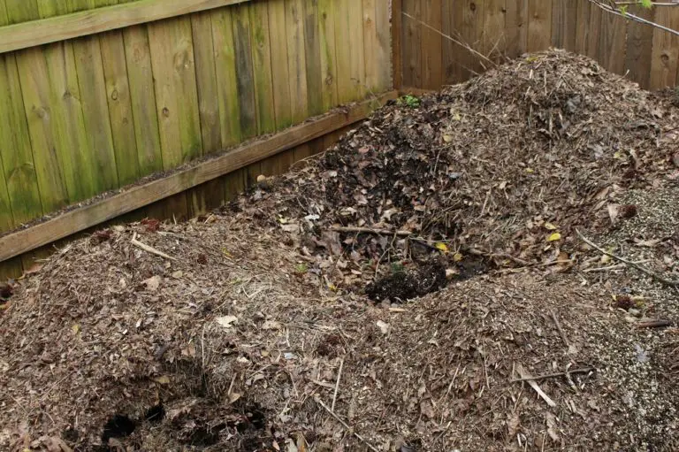 7 Ways to Compost: Weighing the Options - The Grow Monster