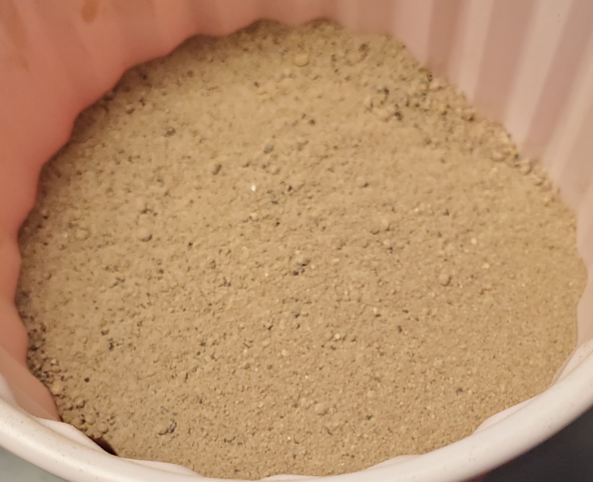 Plant the Moon and Plant Mars Challenge with NASA - The Grow Monster