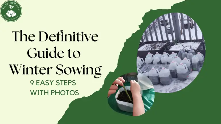 The Definitive Guide to Winter Sowing - 9 Easy Steps with Photos - The ...