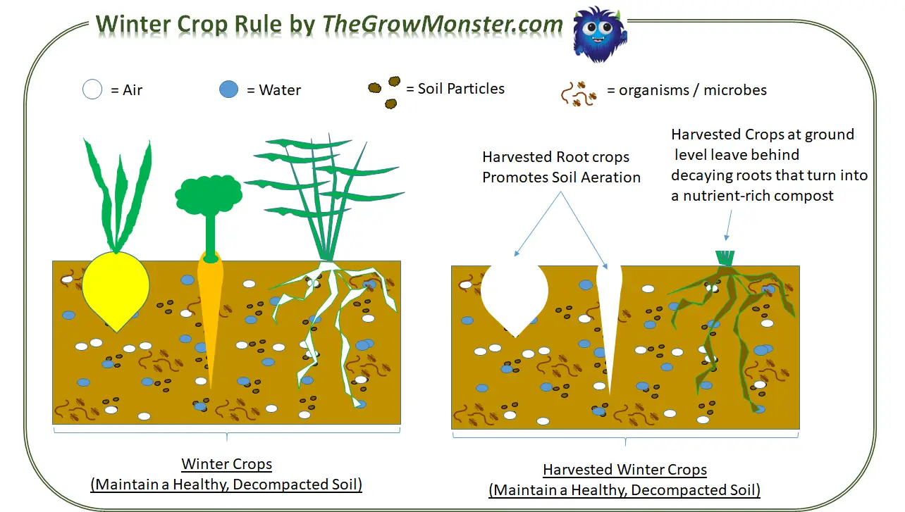 What is Soil Compaction and How to Prevent It - The Grow Monster